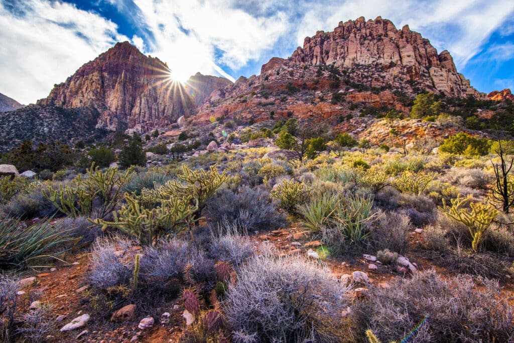 7 Of The Most Popular Parks In Colorado Springs [Pictures]